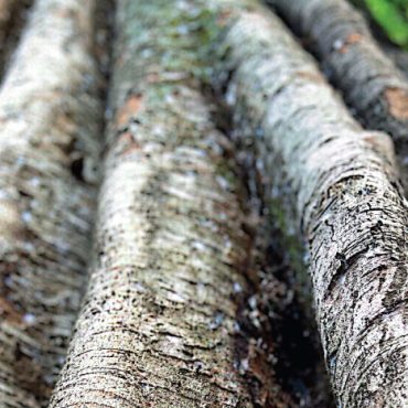 Home - Mudhumeni Mukuru